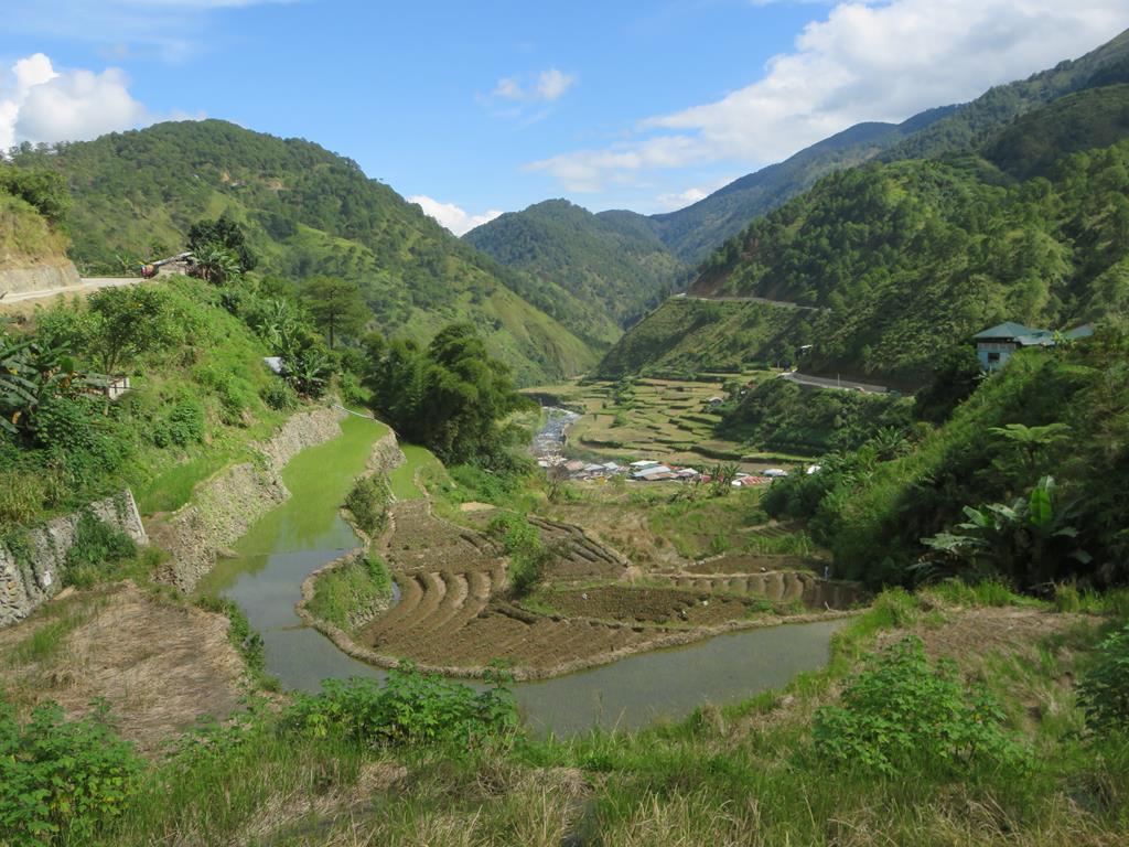 Philippines - Visite de la région du Luzon - Humble serviteur